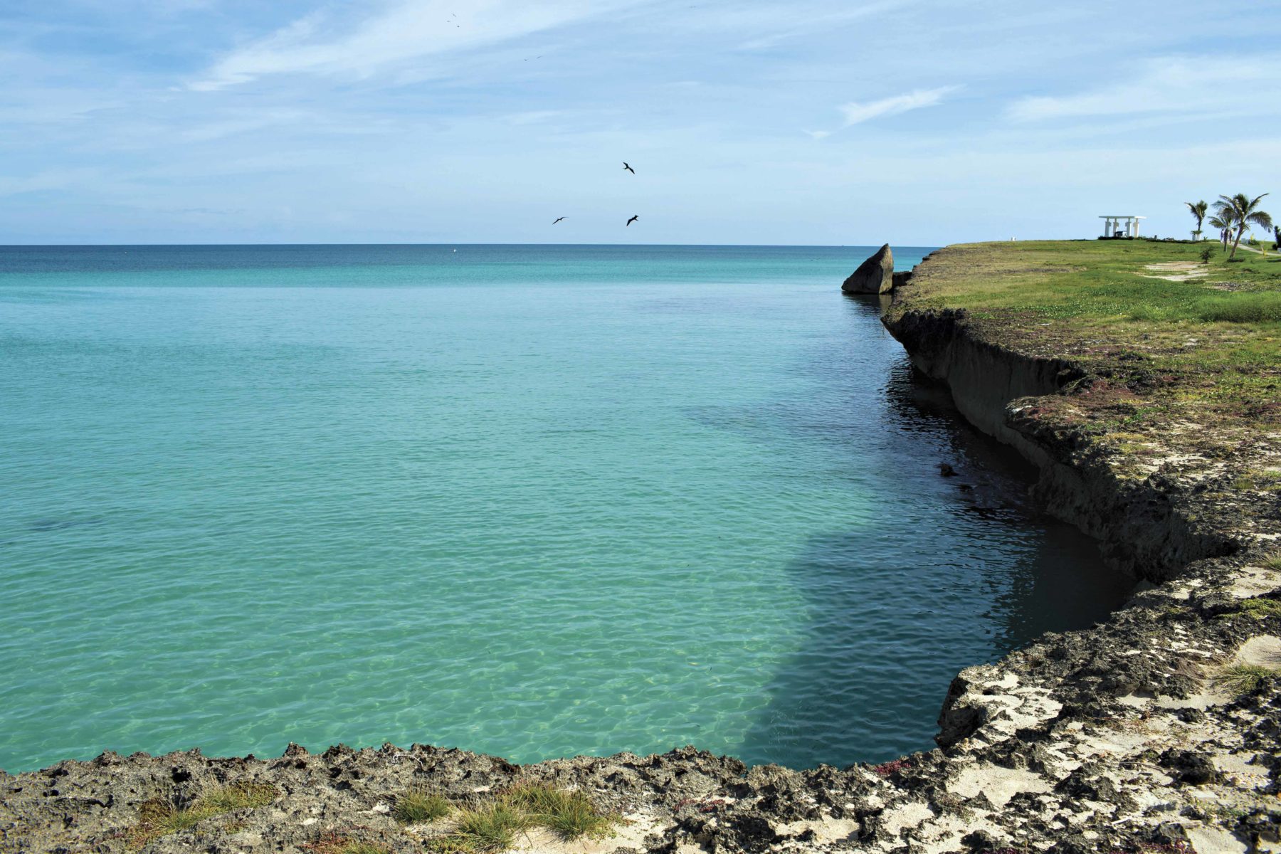 Al son de la linda Cuba