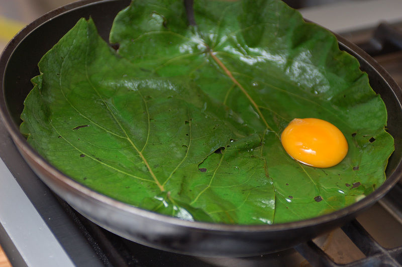 Hoja Santa, con sabor a México