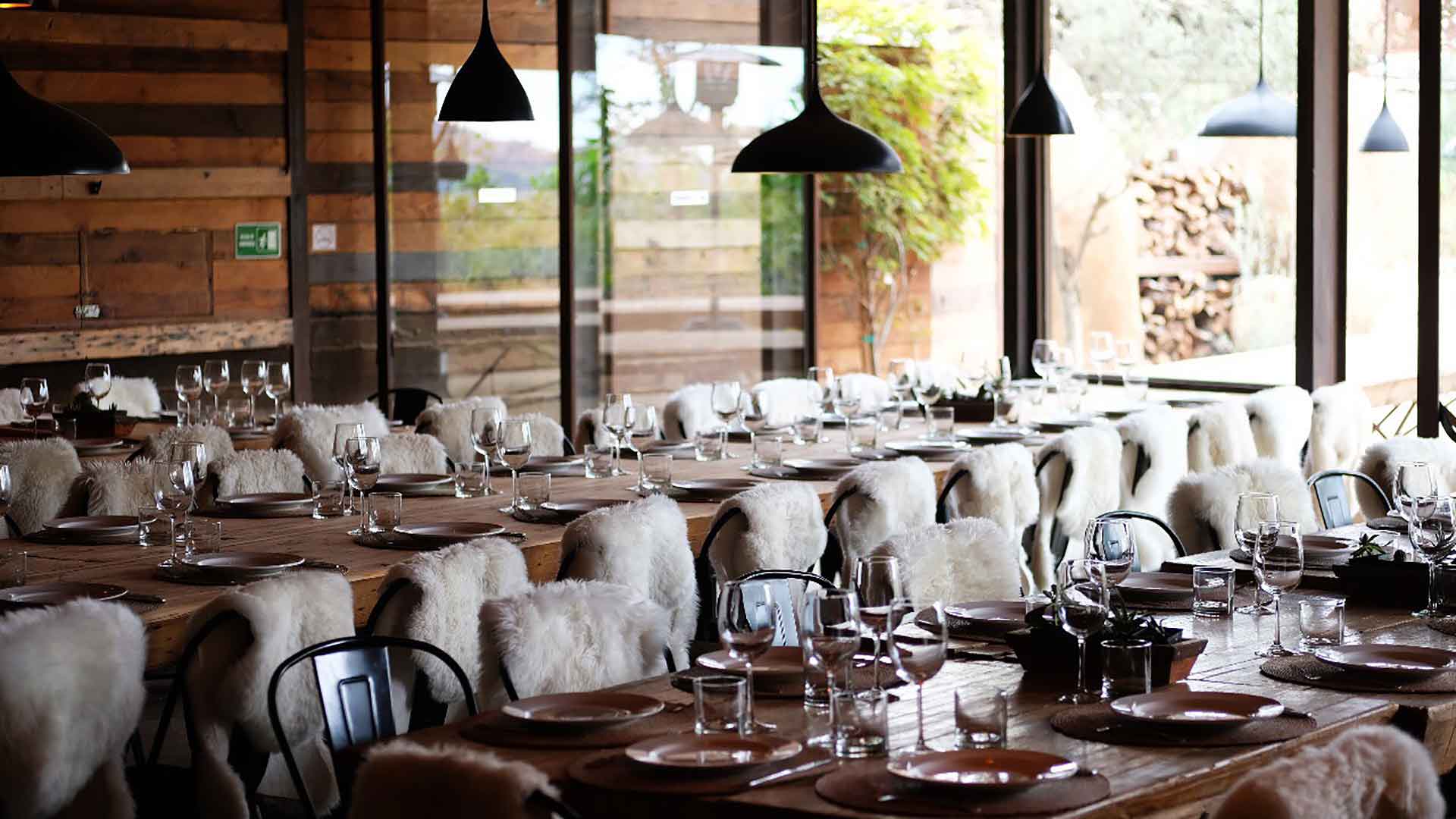 Chef David Castro, el ingenio detrás de Fauna