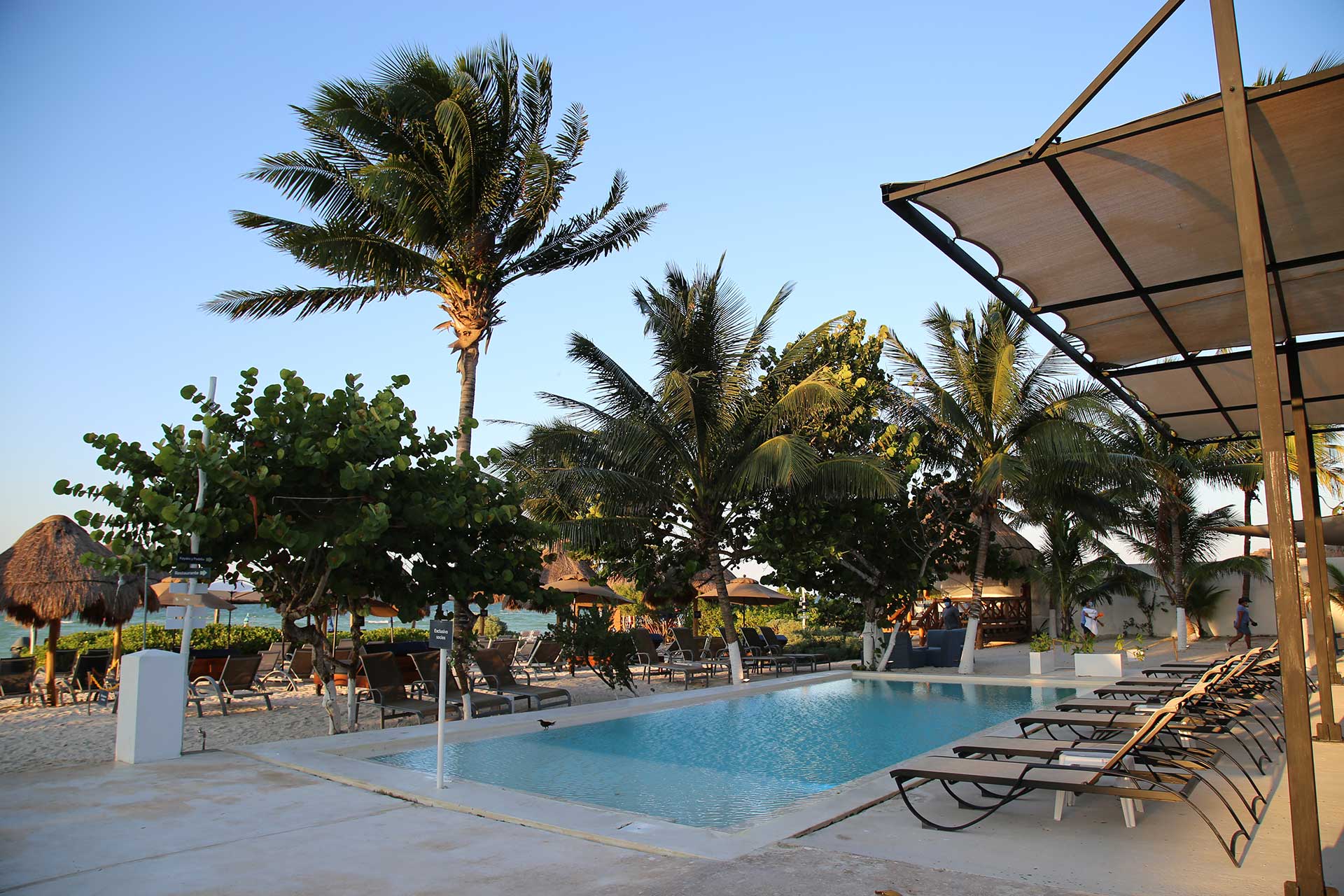 4 actividades imperdibles para hacer en Mérida