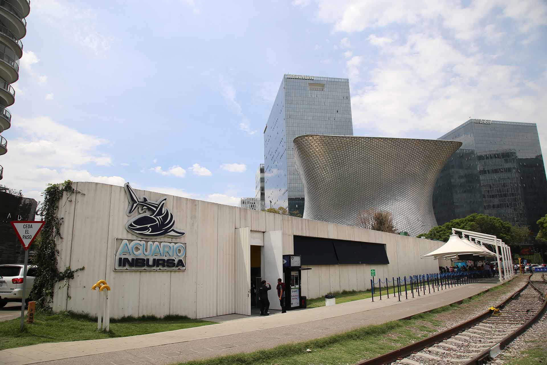 8 imperdibles del Acuario Inbursa