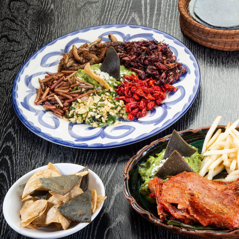 La mejor comida exótica en CDMX: ¡checa dónde probarla!