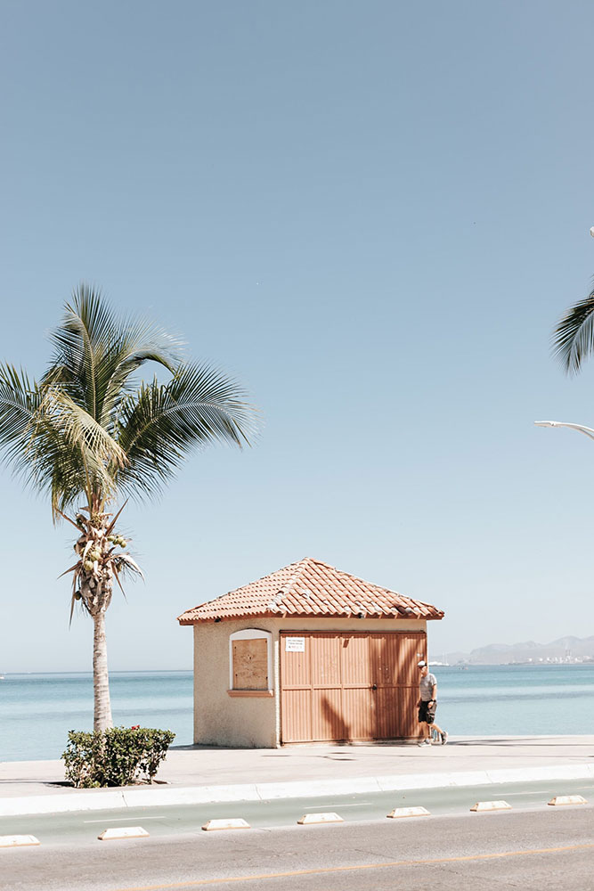 ¿Qué ver y qué hacer en marzo 2023?