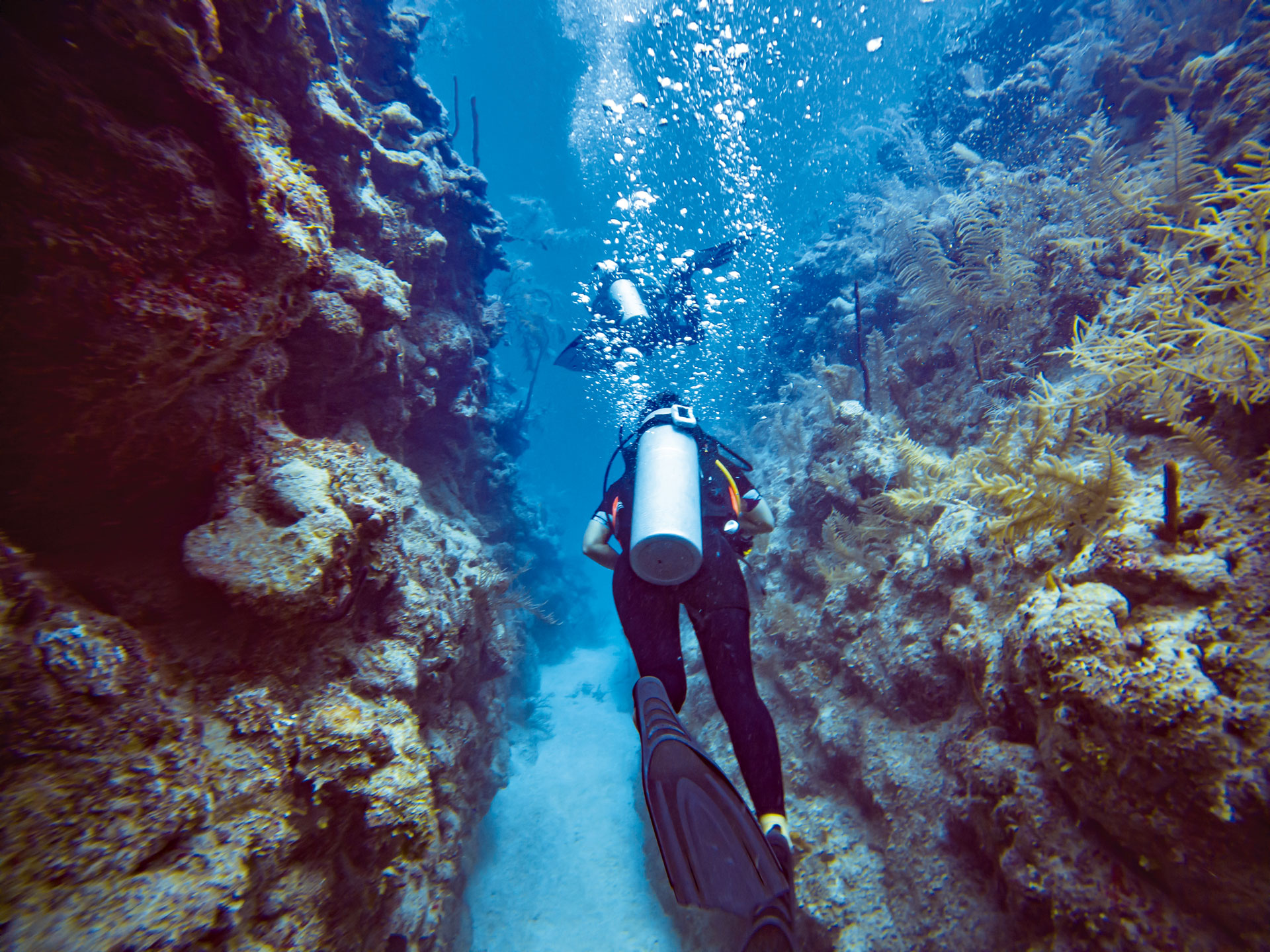 5 destinos para bucear y explorar las profundidades del mar