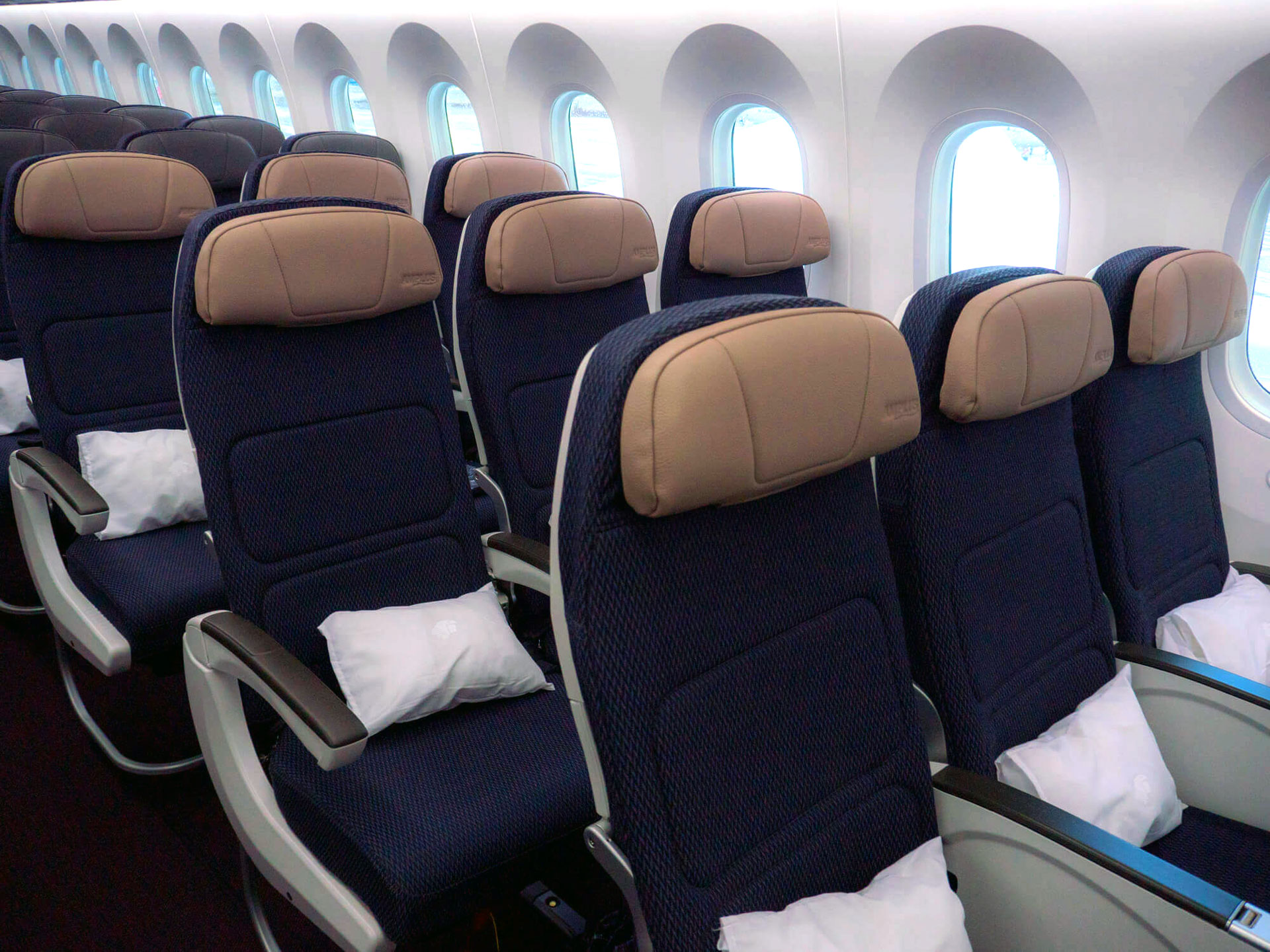 AM Plus: un solo asiento, muchas ventajas al volar