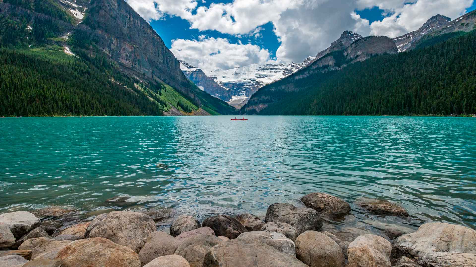 Canadá salvaje: un recorrido por su fauna