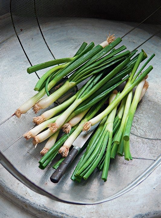 Cebollas de cambray