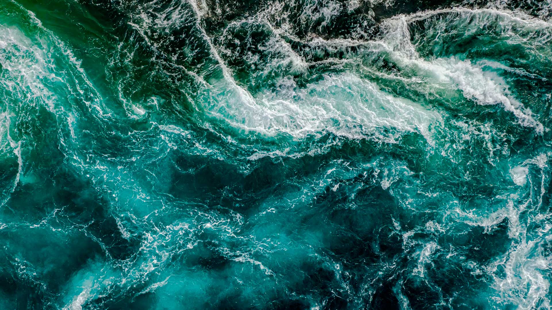 7 datos curiosos sobre los océanos