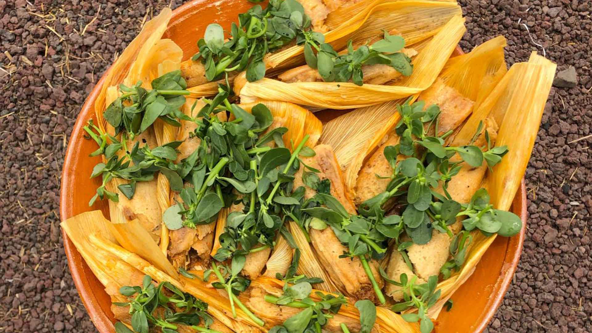 Yolcan: de la chinampa a tu mesa