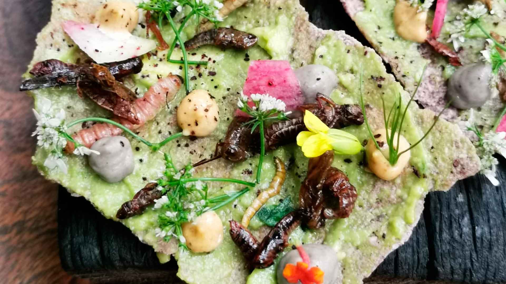 Prepara esta raspadita de insectos del chef Nicolás Cano