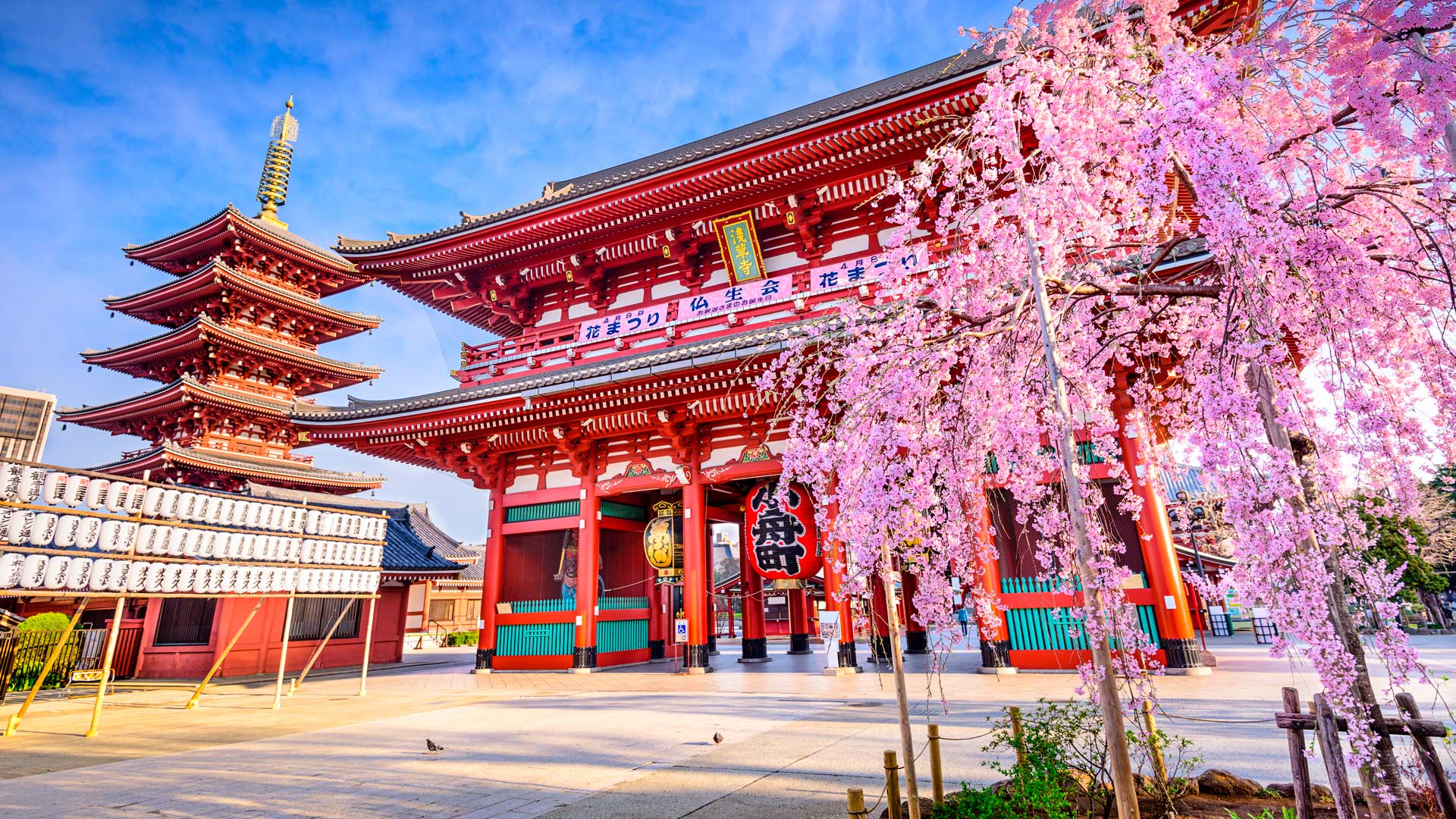 Tokio: el itinerario perfecto en 7 paradas