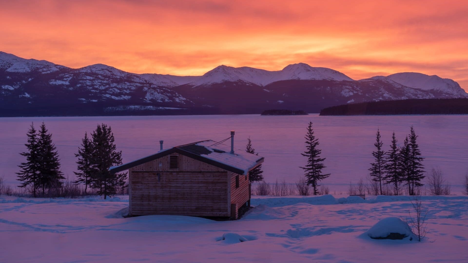 Invierno en Yukón: entre trineos, linces y auroras boreales